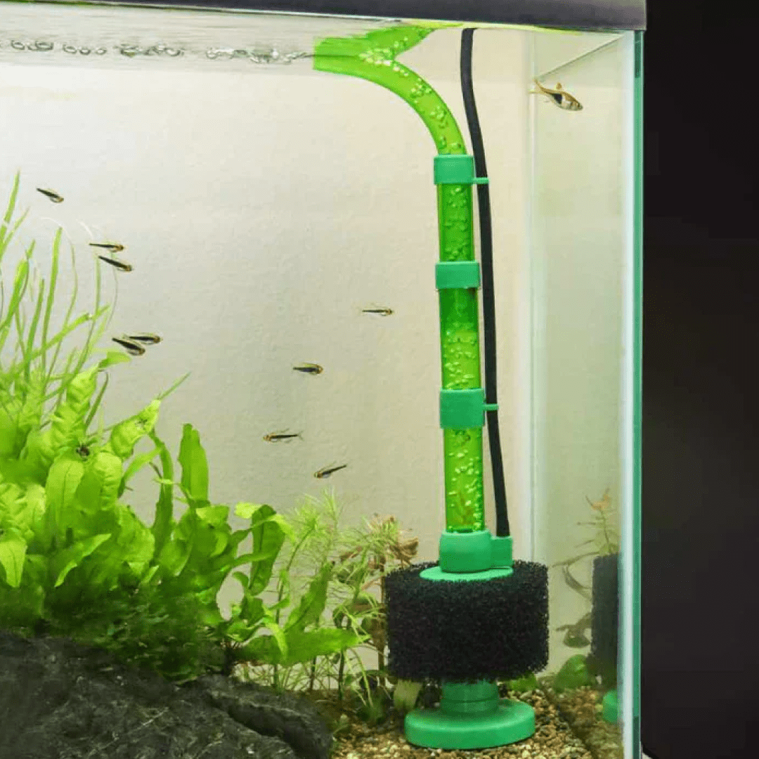 How to Improve Water Circulation on Aquarium Sponge Filters - Gestalt ...